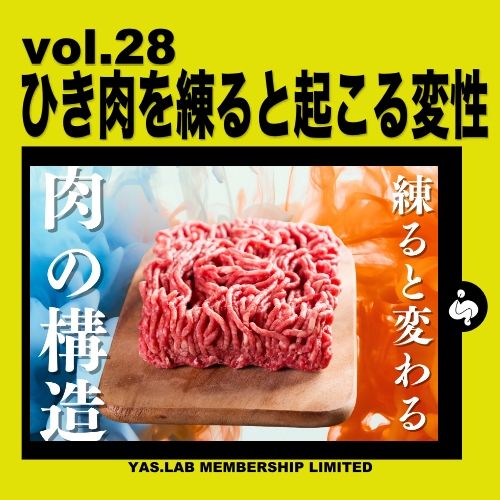 vol.28 ひき肉を練ると起こる変性 - YAS.LAB